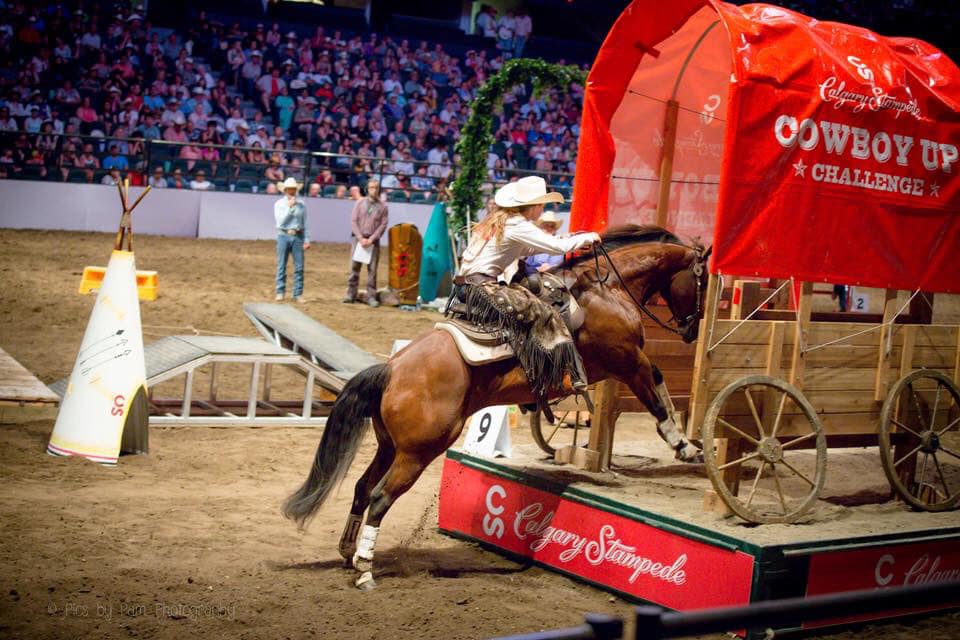 High Country Extreme Cowboys | Fur Babies Central